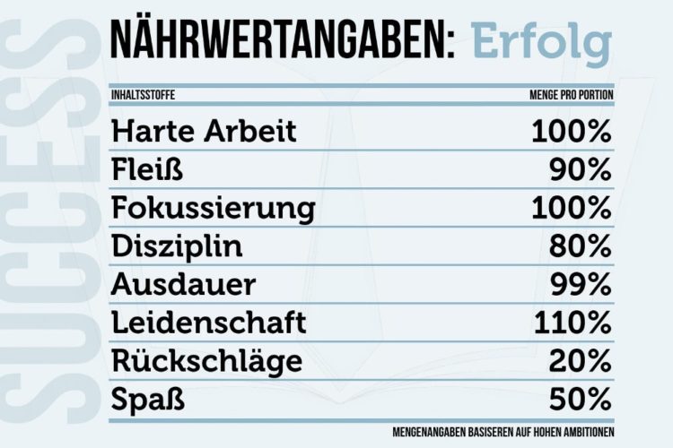 Erfolgsschritte: In 11 einfachen Stufen zum Erfolg