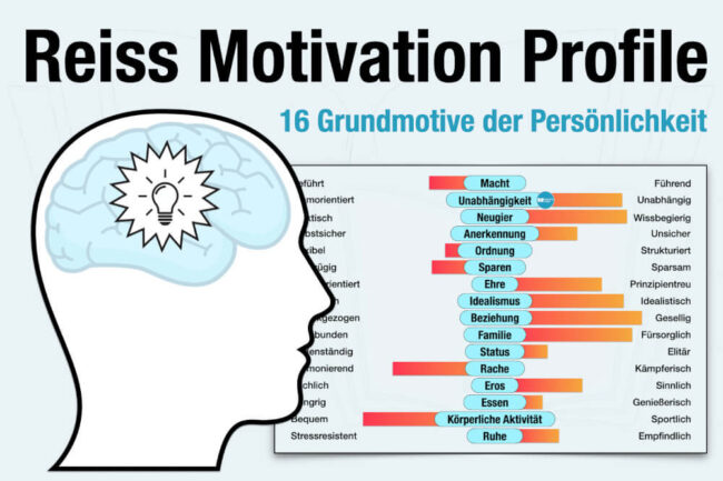 Reiss Motivation Profile: Die 16 Motive definieren Sie!
