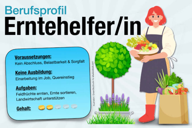 Erntehelfer werden: Aufgaben, Gehalt + Vorraussetzungen